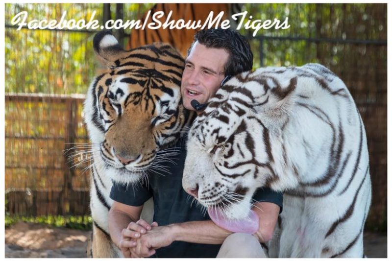 ANIMAL CARE - Growler Pines Tiger Preserve